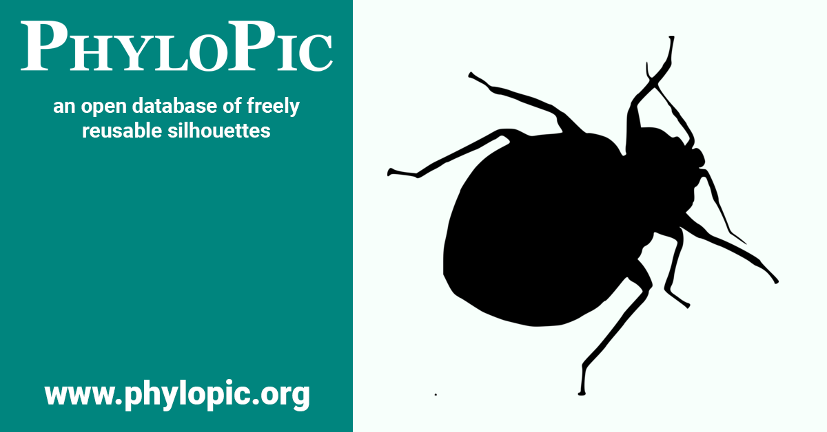 Cimex lectularius by Ludwik Gąsiorowski (CC0 1.0) - PhyloPic