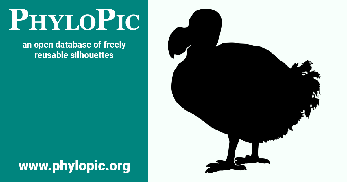 Raphus cucullatus by Steven Traver (CC0 1.0) - PhyloPic