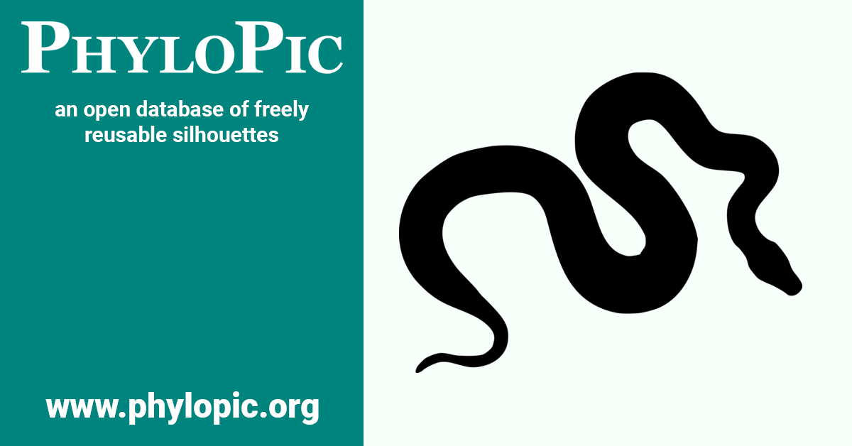 Python bivittatus by DS Biswas (CC BY 4.0) - PhyloPic