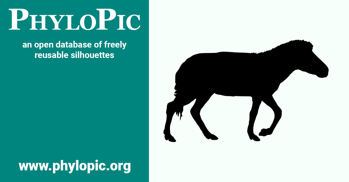 Neohipparion affine by Robert Bruce Horsfall, vectorized by Zimices (CC ...