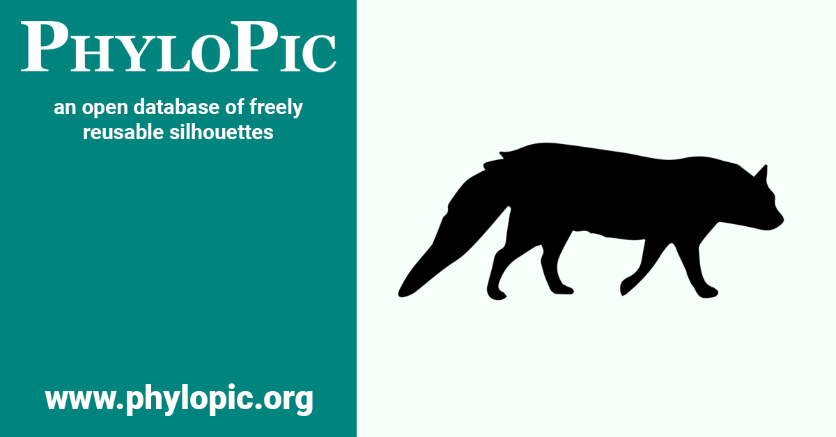 Protictitherium by Carlos Coca-Ortega and Juan Antonio Pérez-Claros (CC ...