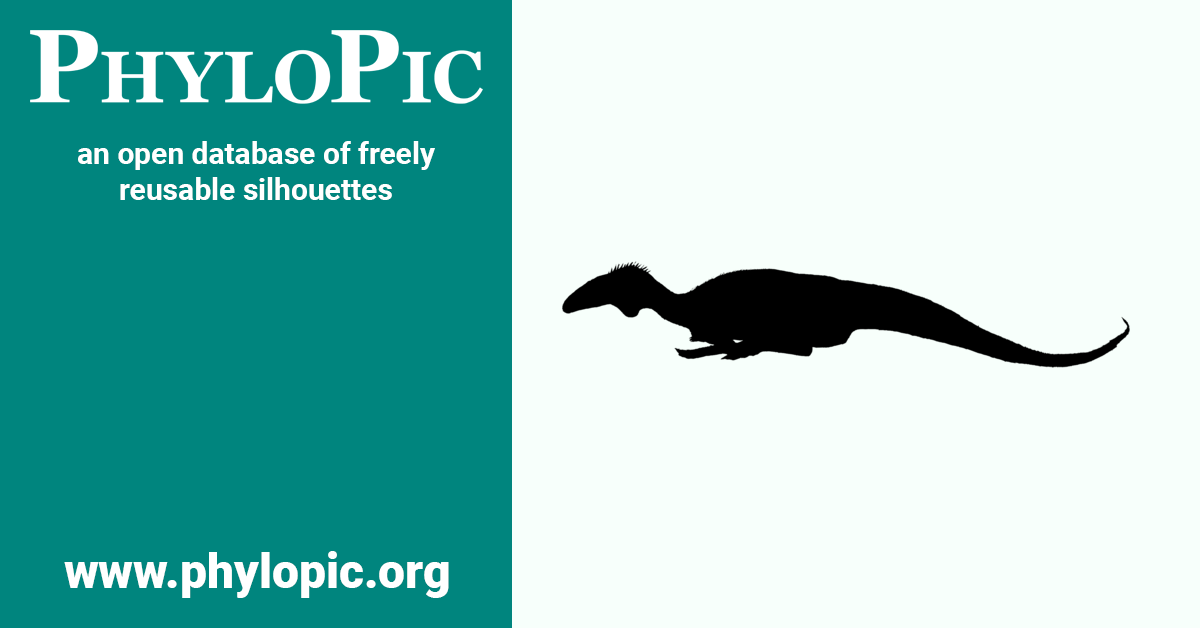 Zupaysaurus rougieri - PhyloPic