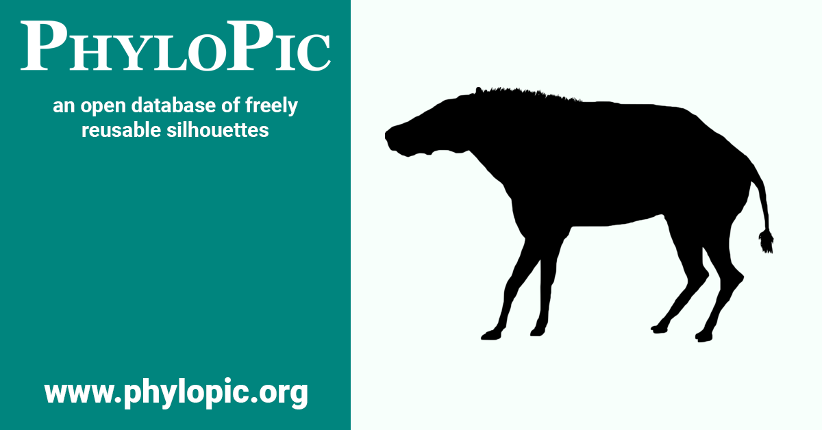 Archaeotherium mortoni by Zimices (CC BY-SA 3.0) - PhyloPic