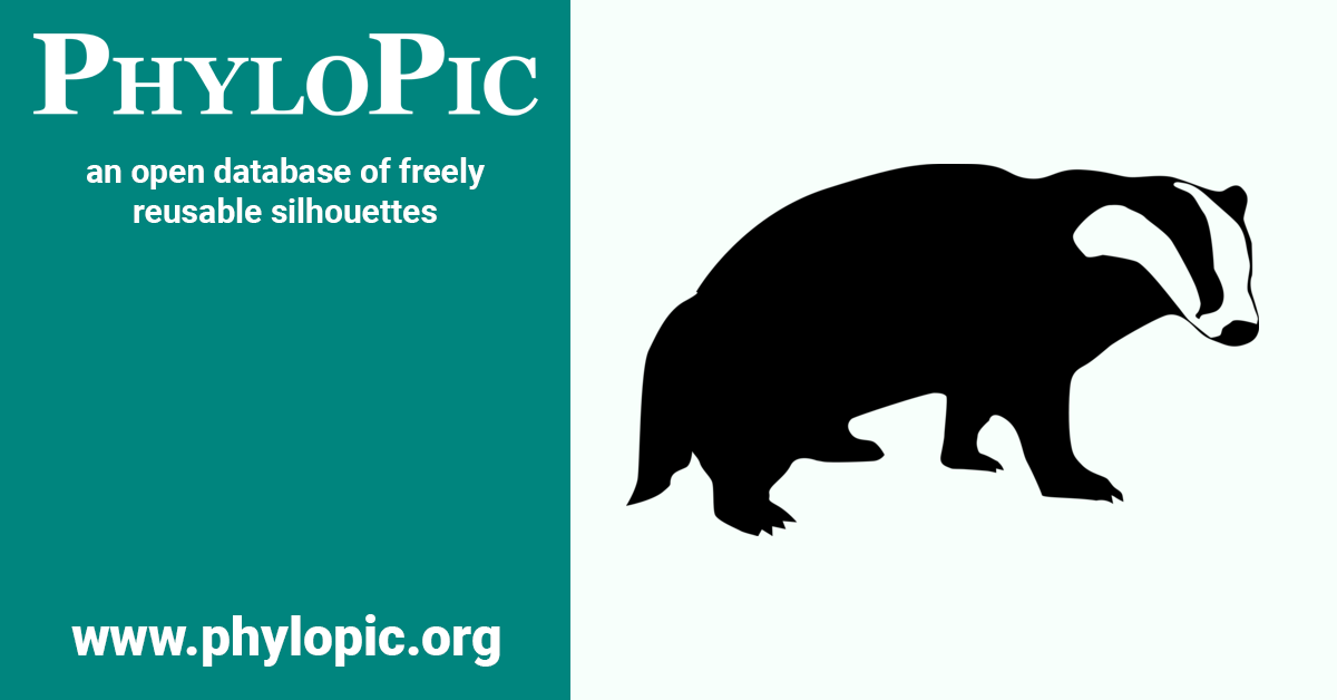 Meles meles by Anthony Caravaggi (CC BY-NC-SA 3.0) - PhyloPic
