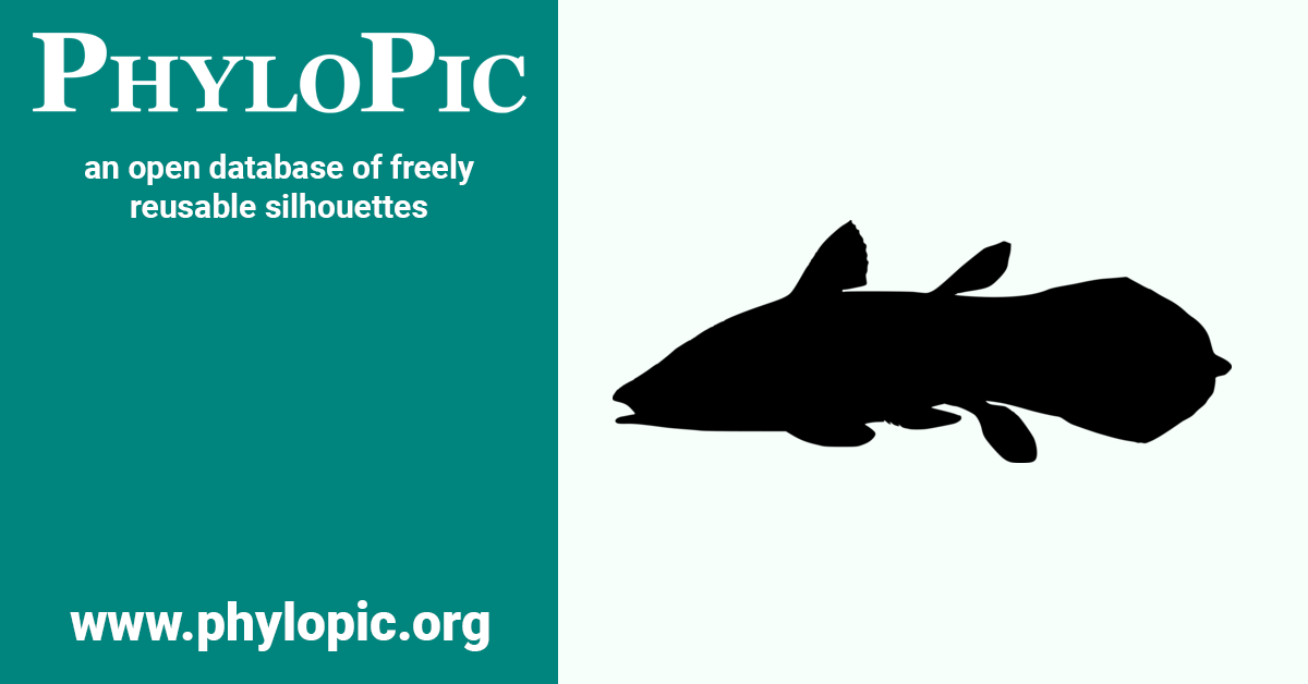 Mawsonia gigas by Lionel Cavin, André Piuz, Christophe Ferrante & Guillaume Guinot (modified ...