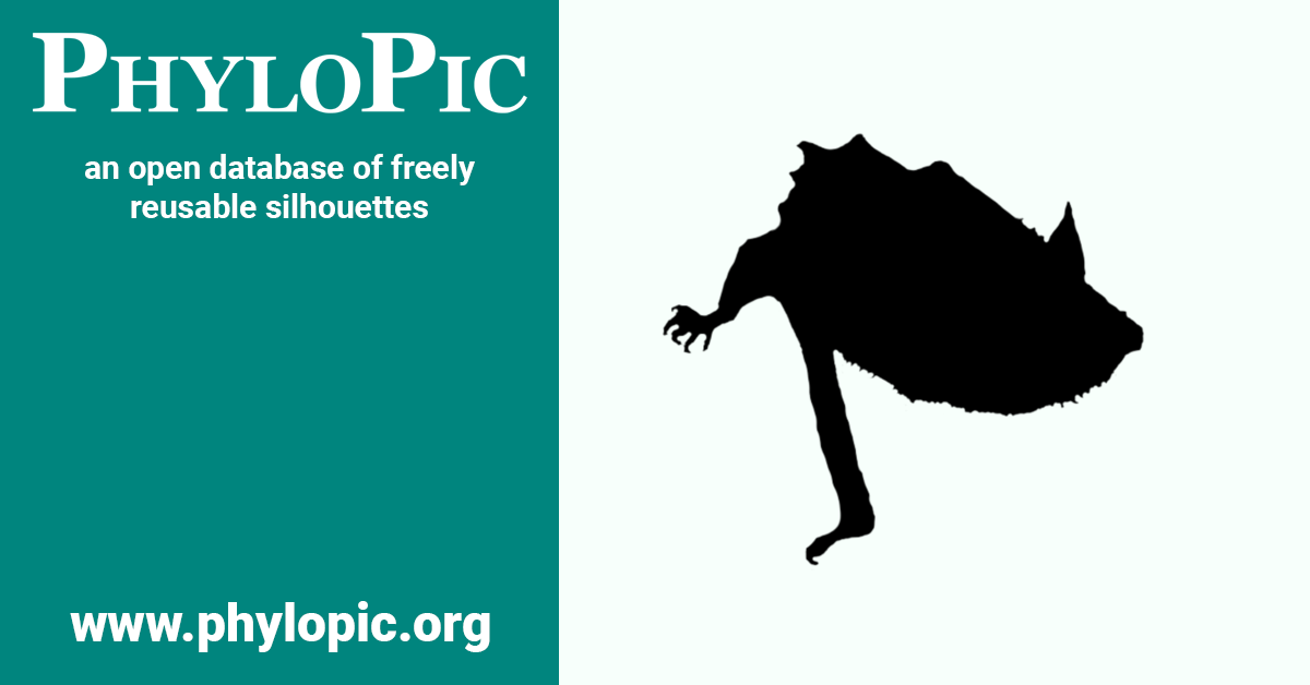 Eptesicus serotinus by Markus Nolf (CC BY 4.0) - PhyloPic