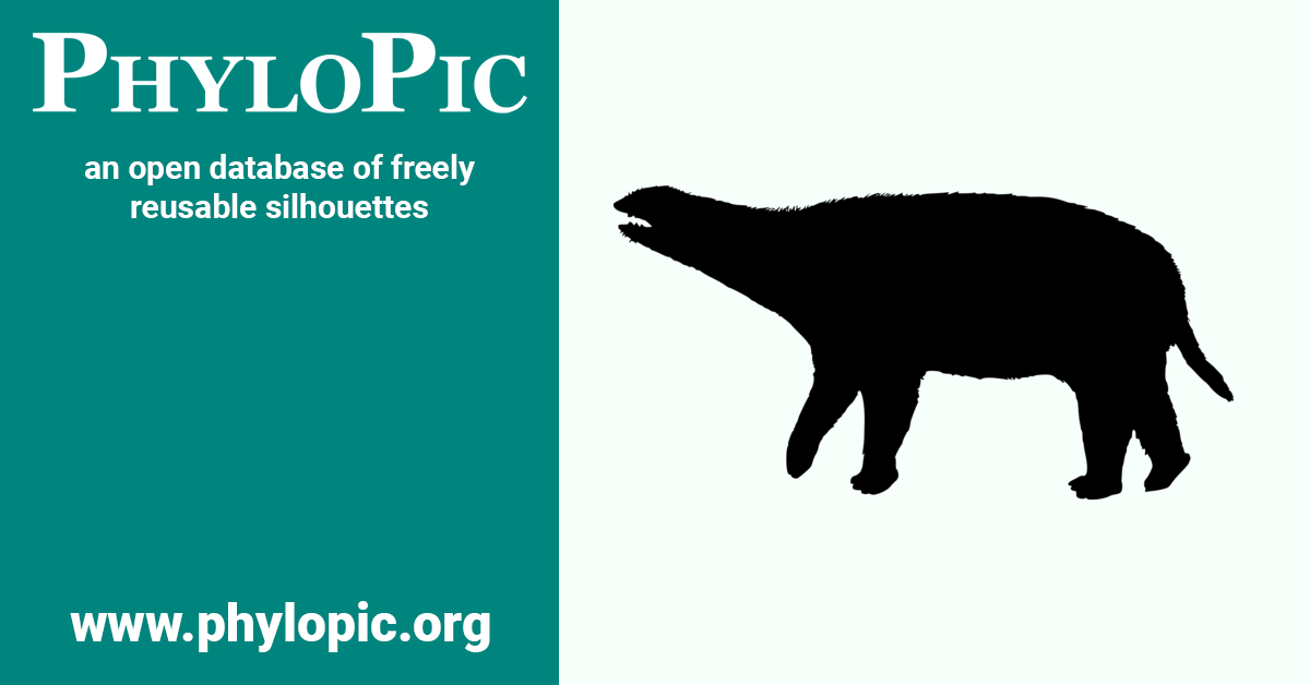 Stylolophus minor by Antonio Rares Mihaila (CC BY-SA 3.0) - PhyloPic