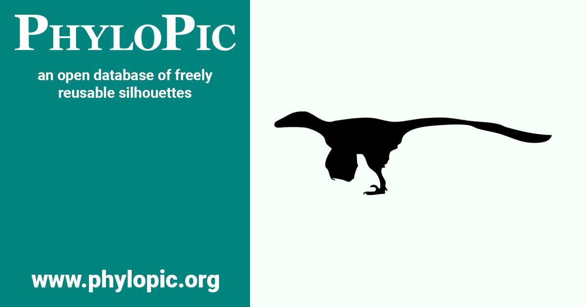 Achillobator giganticus - PhyloPic