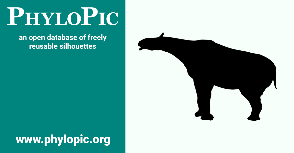 Paraceratherium by Steven Traver (CC0 1.0) - PhyloPic