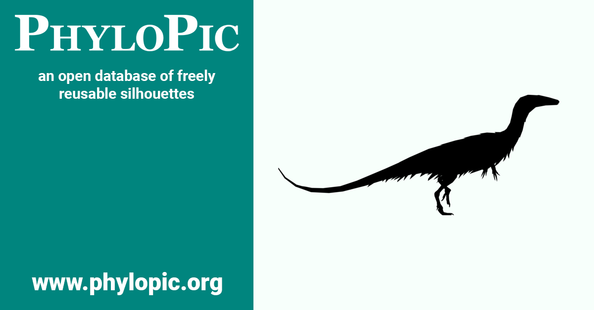 Coelophysis bauri by Tasman Dixon (CC0 1.0) - PhyloPic
