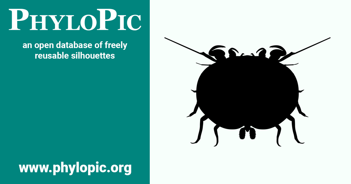 Brittaniclus rankini by Neil D. L. Clark, Rodney M. Feldmann, Frederick ...