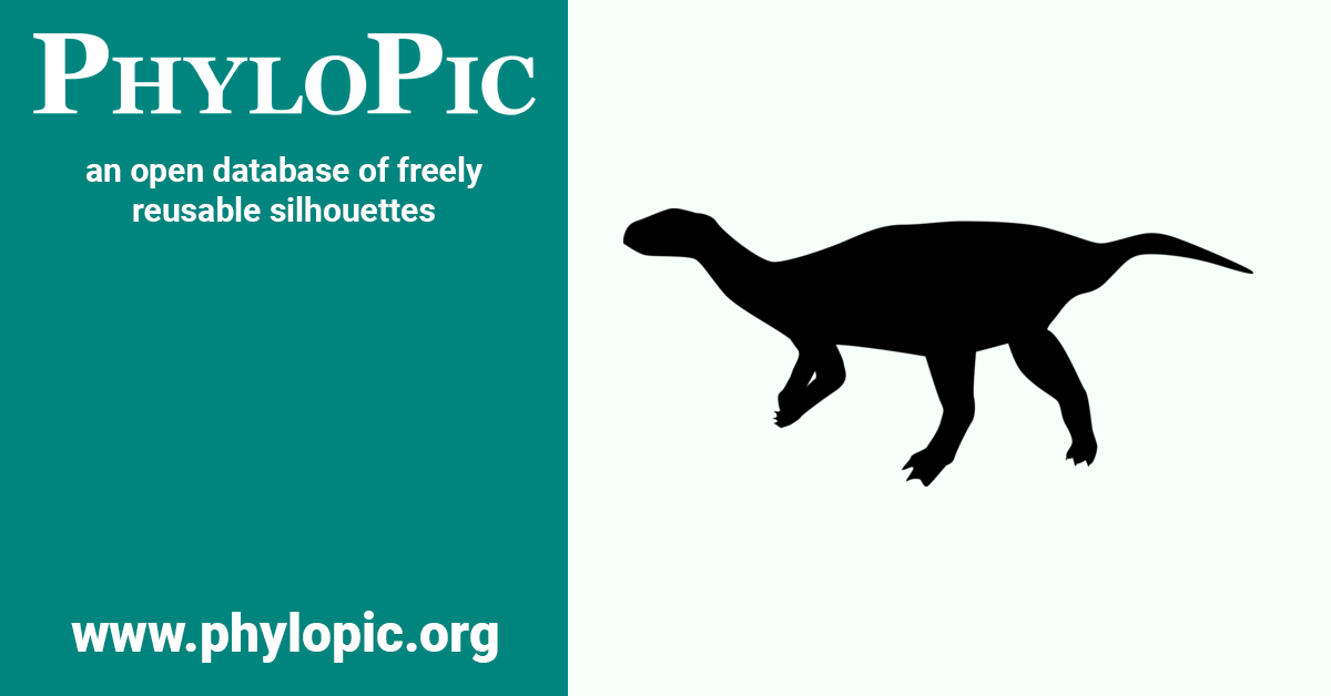 Dryosaurus altus - PhyloPic