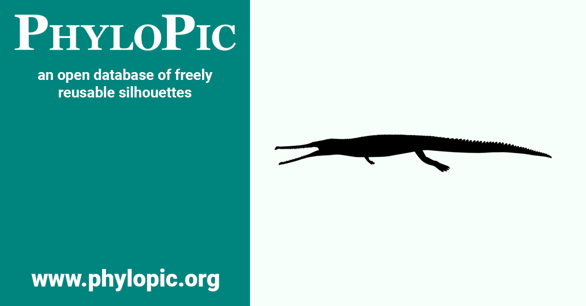 Steneosaurus bollensis by Scott Hartman (CC BY 3.0) - PhyloPic