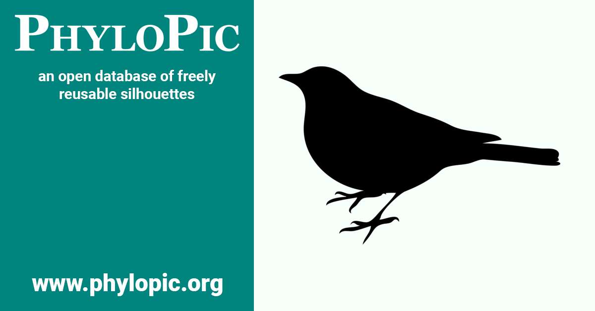 Turdidae - PhyloPic