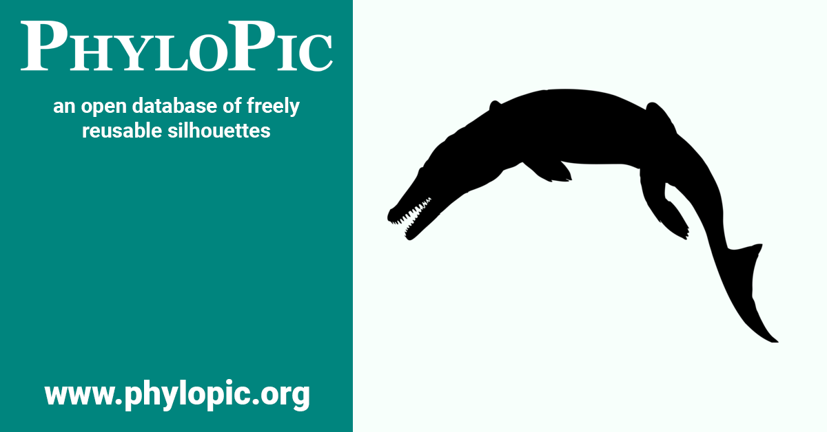 Suchodus durobrivensis by Dmitry Bogdanov (vectorized by T. Michael ...