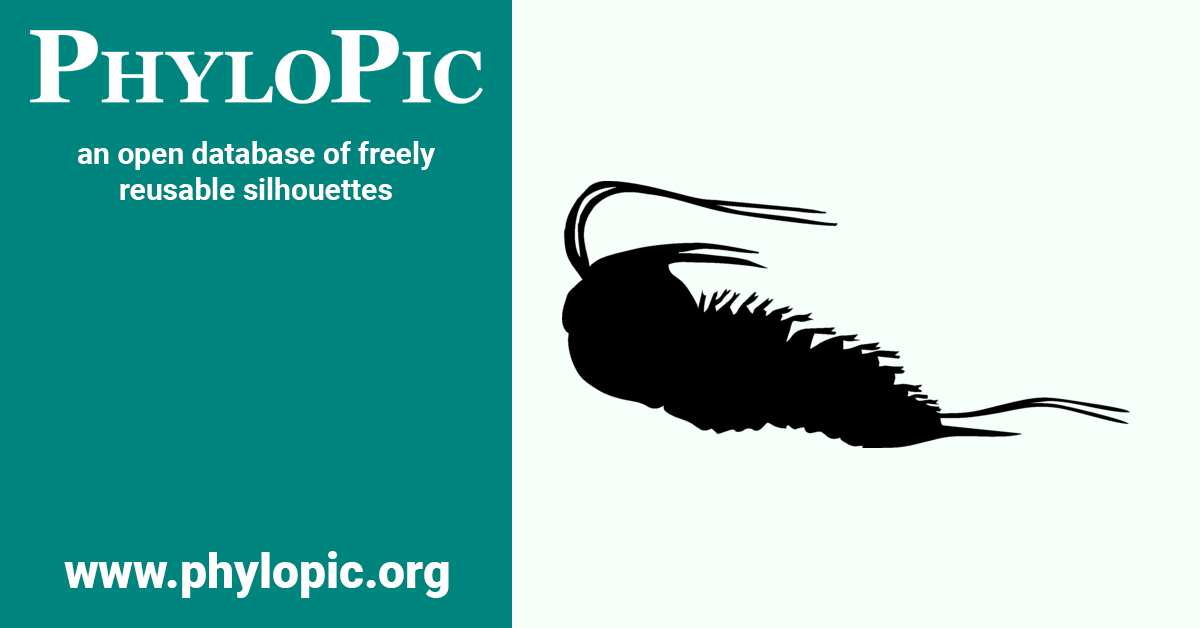 Telephinidae - PhyloPic