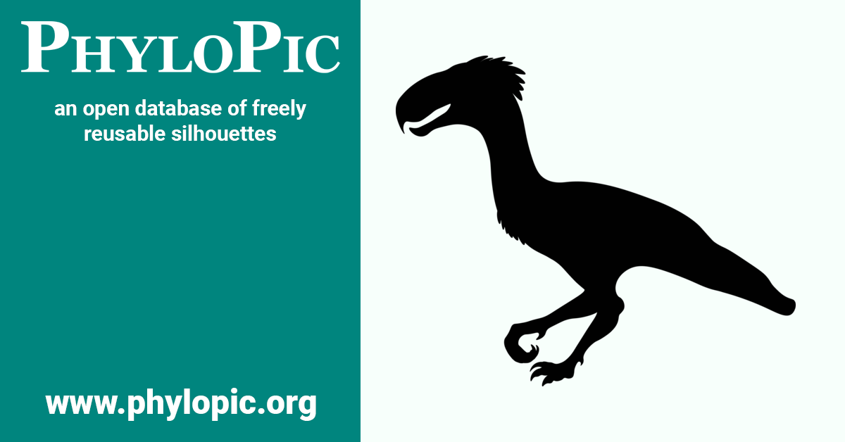 Phorusrhacos longissimus by Thomas W. LaBarge (CC BY 4.0) - PhyloPic