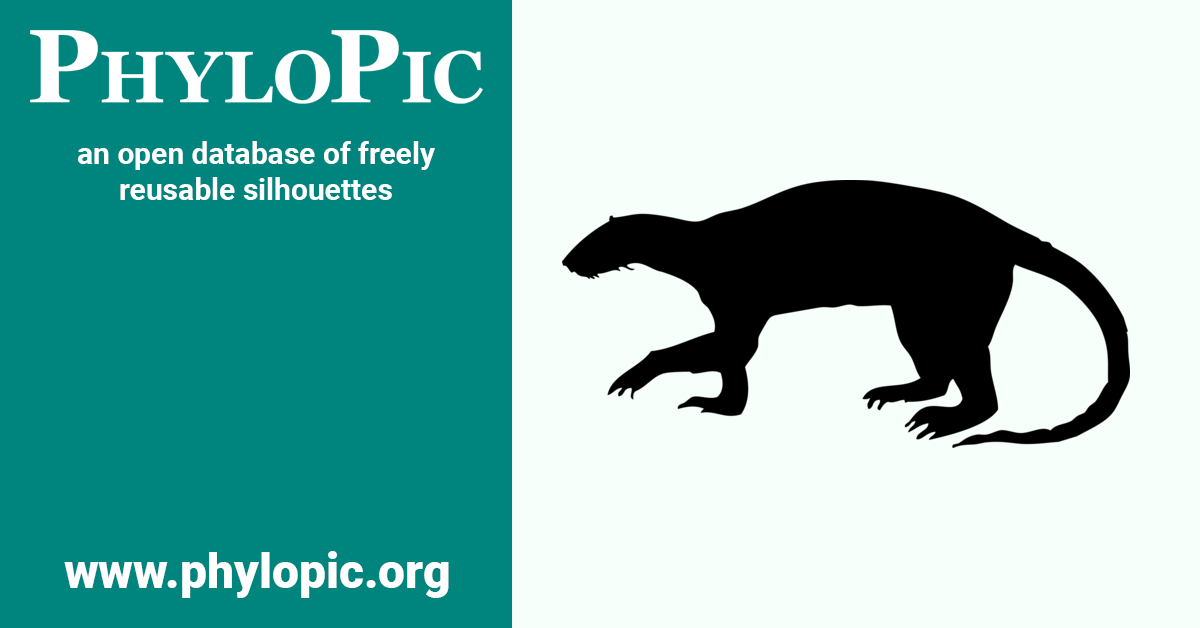 Vulpavus by Steven Traver (CC0 1.0) - PhyloPic