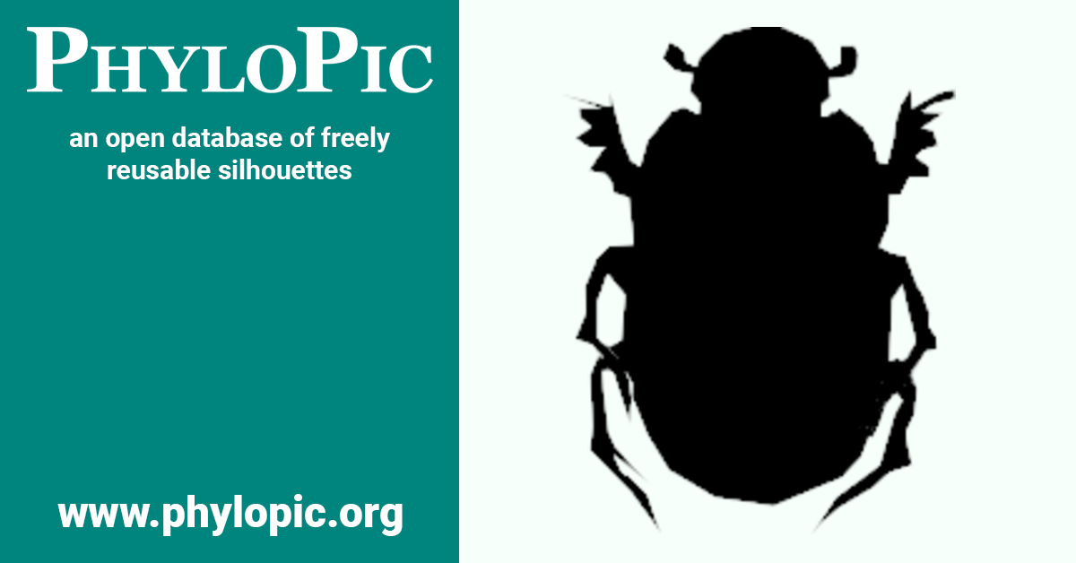 Onthophagus taurus by Kristina Gagalova (CC BY-SA 3.0) - PhyloPic