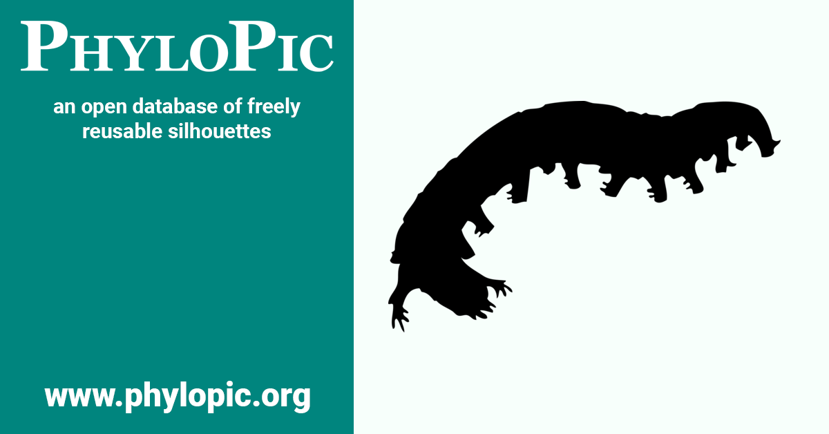 Gnathopoda - PhyloPic