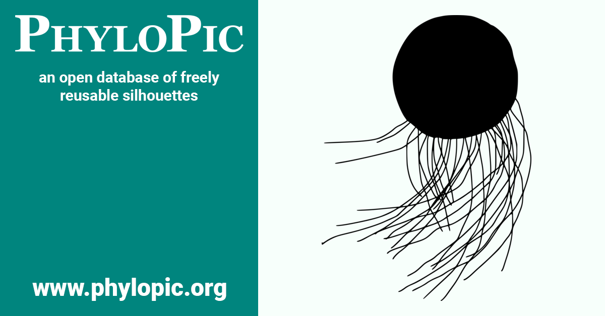 Methanococcus maripaludis (CC0 1.0) - PhyloPic