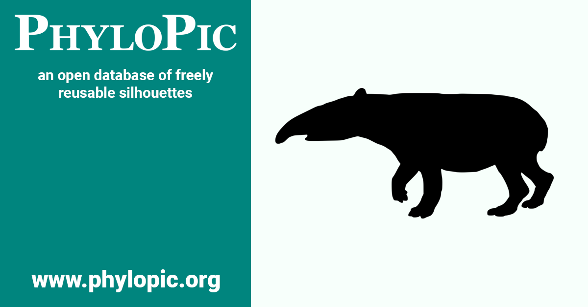 Tapirus augustus by Zimices (CC BY 3.0) - PhyloPic