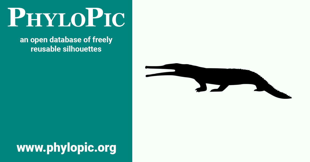 Parasuchus hislopi by Nobu Tamura (CC BY 4.0) - PhyloPic