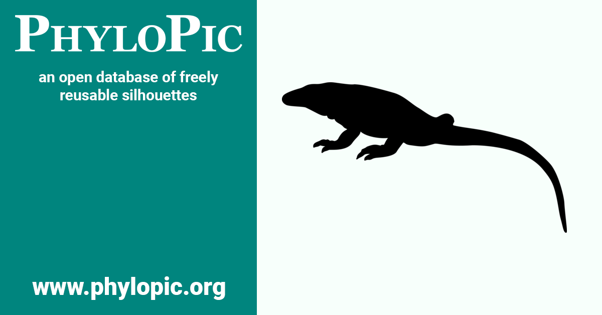 Varanodon agilis by Dmitry Bogdanov (CC BY-SA 3.0) - PhyloPic