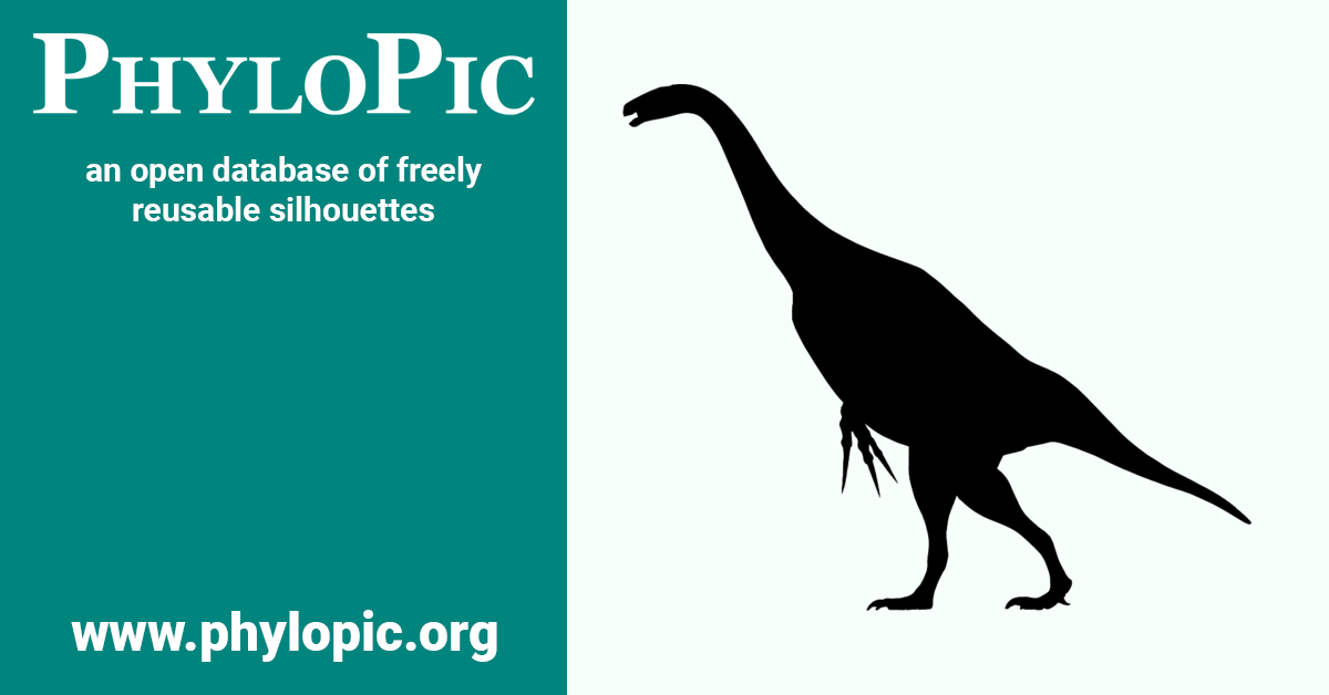 Nothronychus mckinleyi by Scott Hartman (CC BY-NC-SA 3.0) - PhyloPic