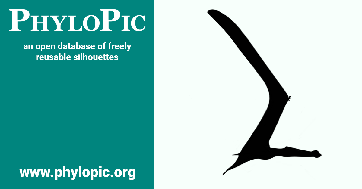 Arthurdactylus conandoylei - PhyloPic