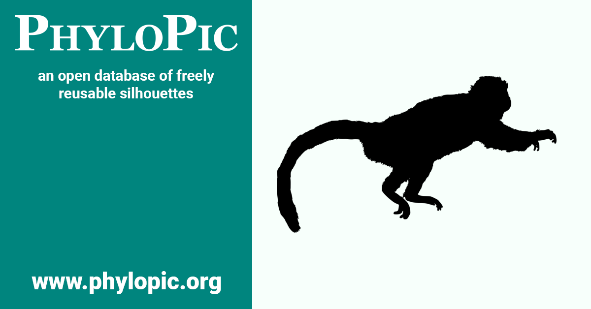 Cebupithecia sarmientoi by Zimices (CC BY-NC 3.0) - PhyloPic