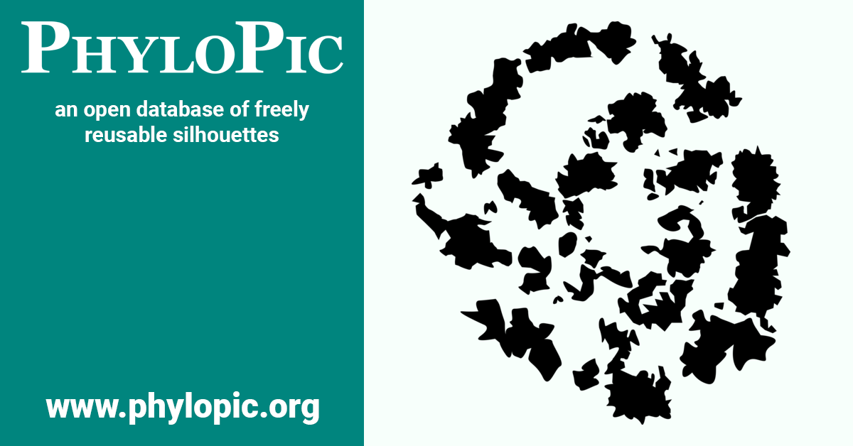 Lecanorales - PhyloPic