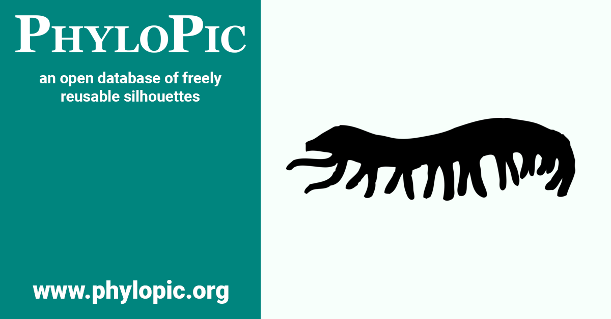 Microdictyon sinicum - PhyloPic