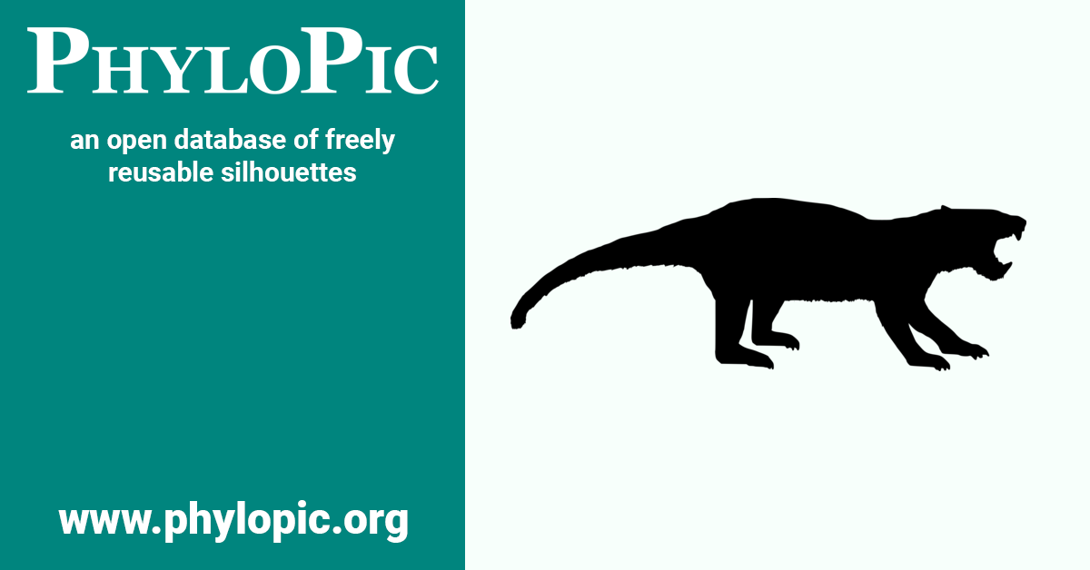 Arctodictis sinclairi by Zimices (CC BY-NC 3.0) - PhyloPic