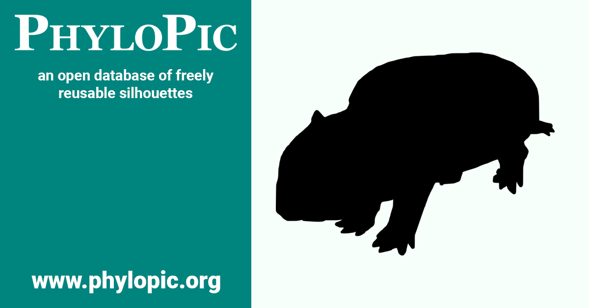 Hoplophorus - PhyloPic