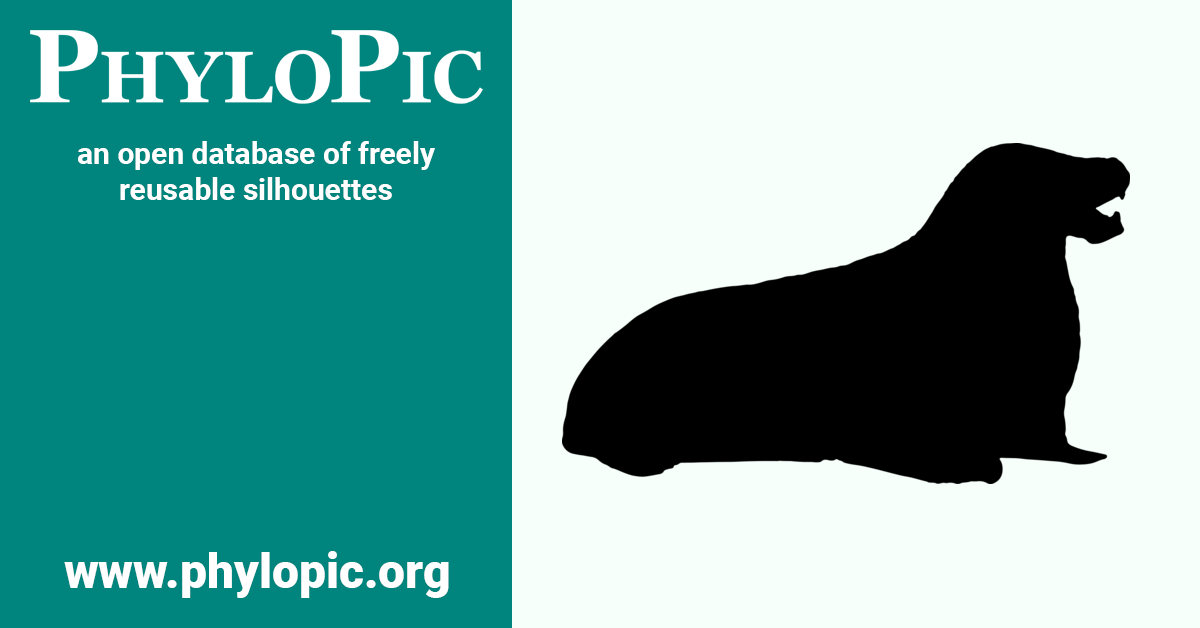 Pontolis magnus by Leonardo Hostos Olivera (CC0 1.0) - PhyloPic