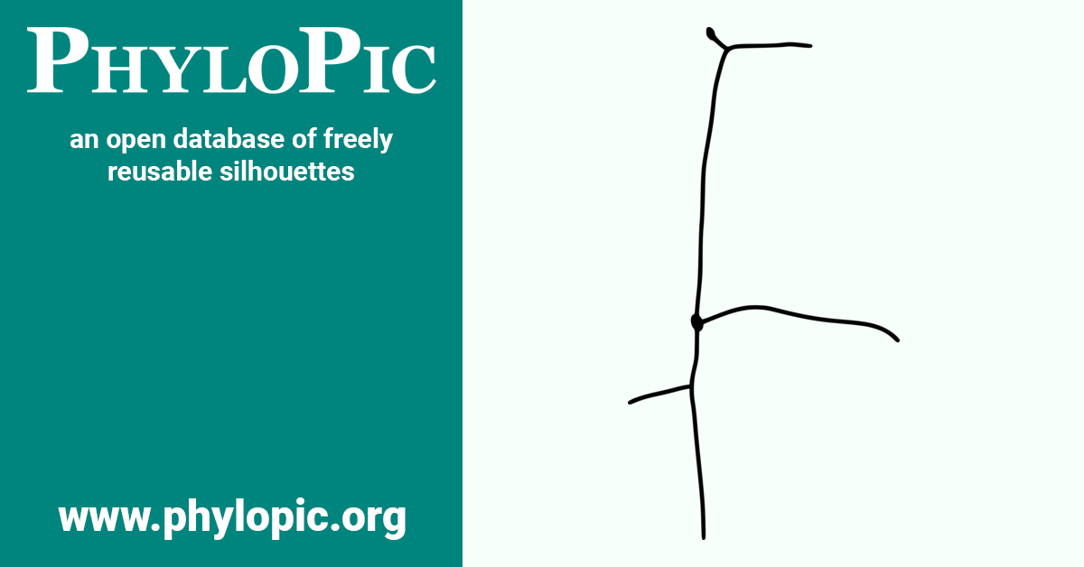 Thermoproteus (CC0 1.0) - PhyloPic