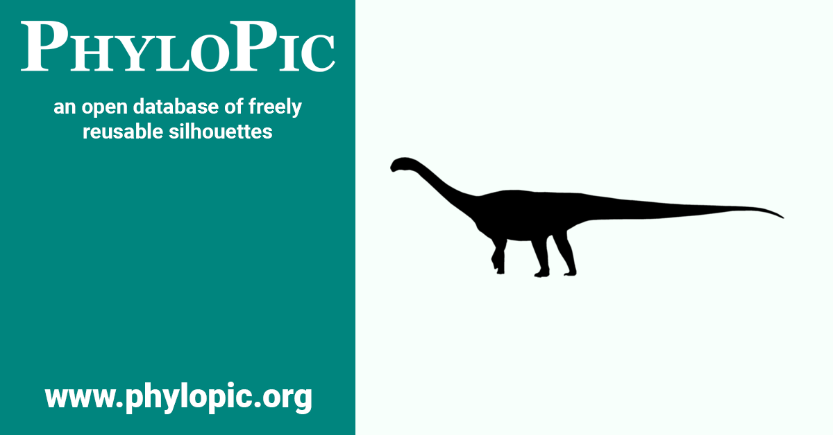 Patagosaurus fariasi by Smokeybjb (CC BY-SA 3.0) - PhyloPic