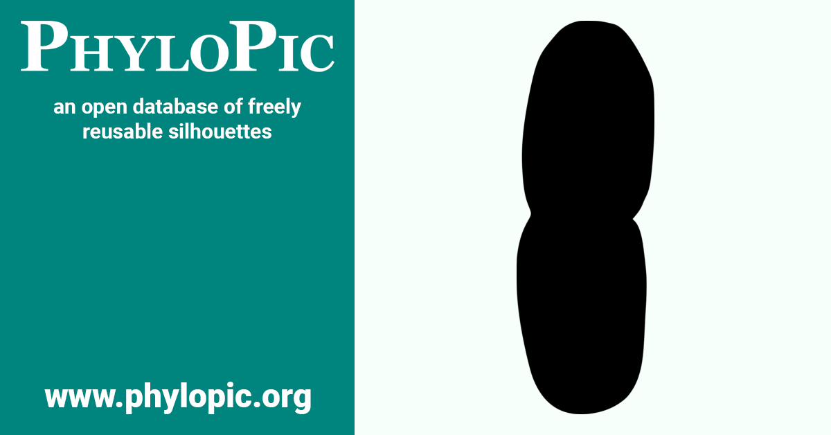 Deinococcus grandis - PhyloPic