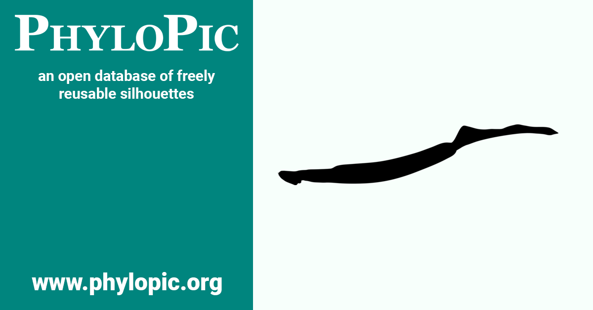 Yanliaomyzon occisor by Cy Marchant (CC BY 4.0) - PhyloPic