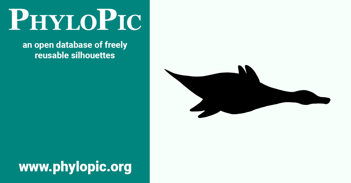 Polycotylidae - PhyloPic