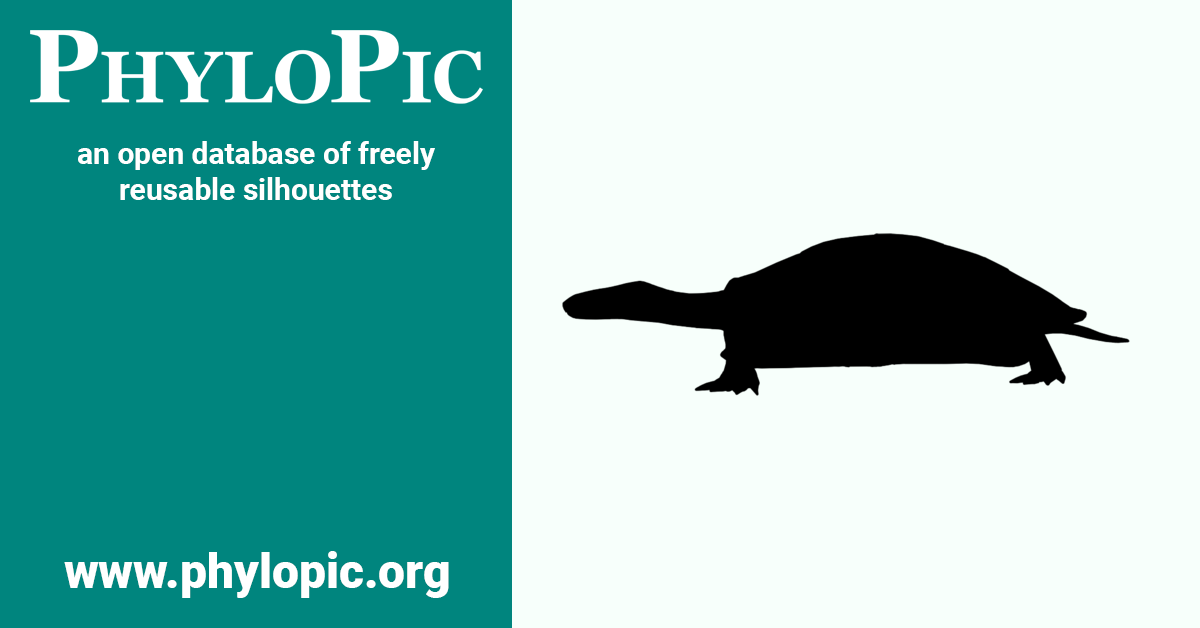 Glyptops utahensis by Scott Hartman (CC BY-NC-SA 3.0) - PhyloPic