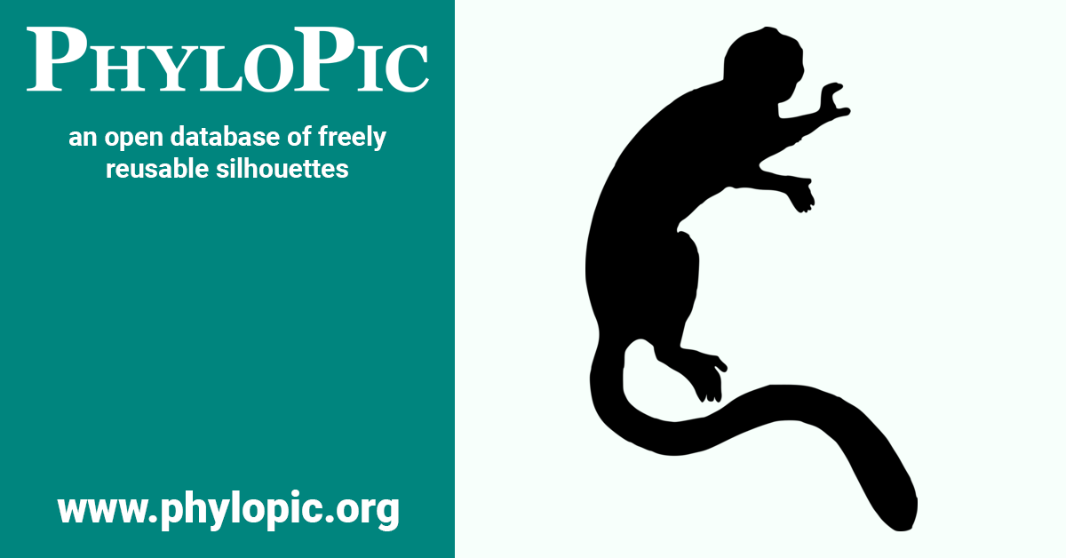 Aotus azarae by E. Lear, 1819 (vectorization by Yan Wong) (CC0 1.0 ...