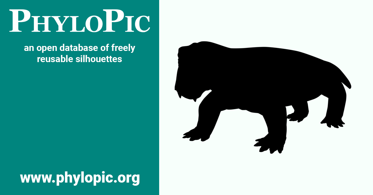 Lystrosaurus declivis by Matt Celeskey (CC0 1.0) - PhyloPic