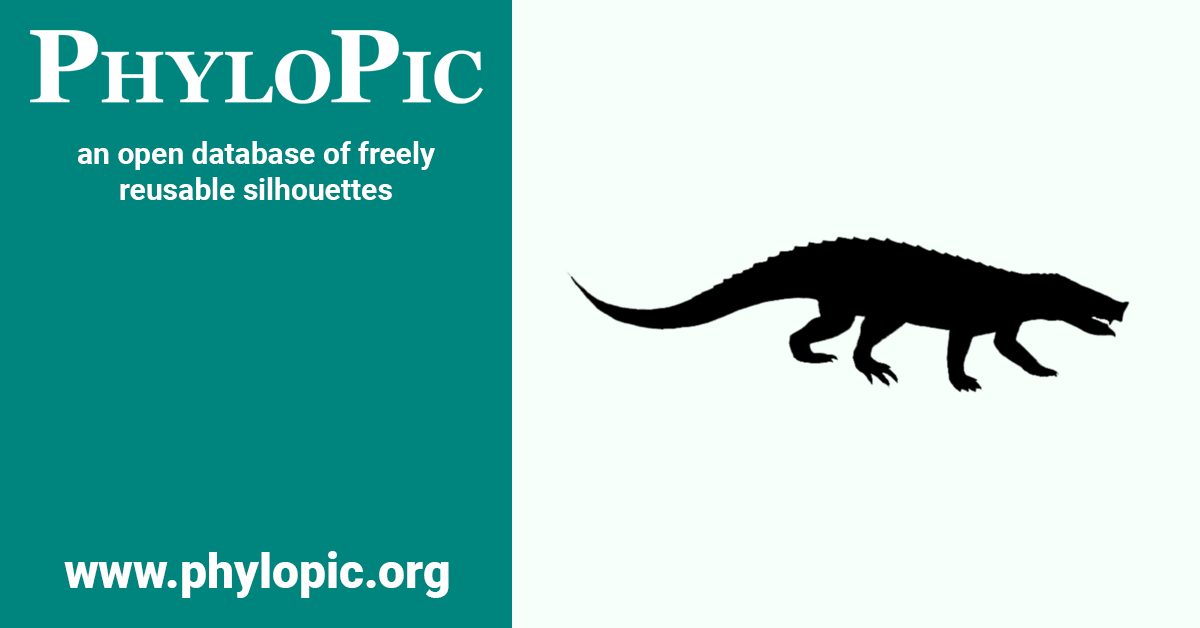 Notosuchus terrestris by Nobu Tamura (head modified by FunkMonk) (CC BY ...