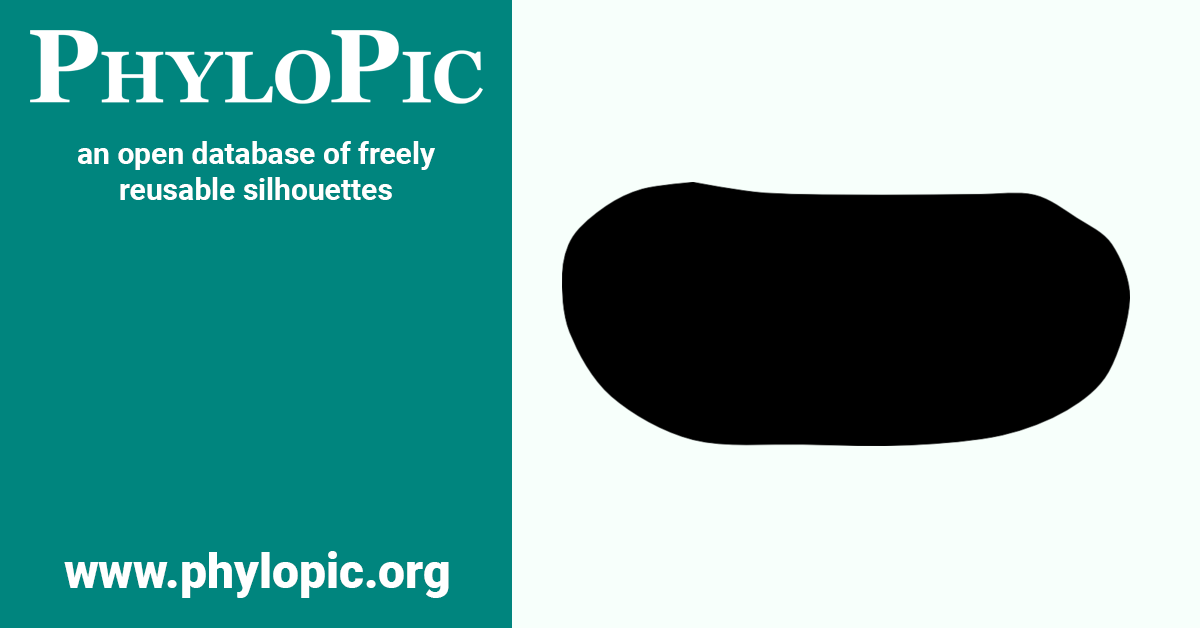 Zenatia acinaces by Katie S. Collins (CC0 1.0) - PhyloPic