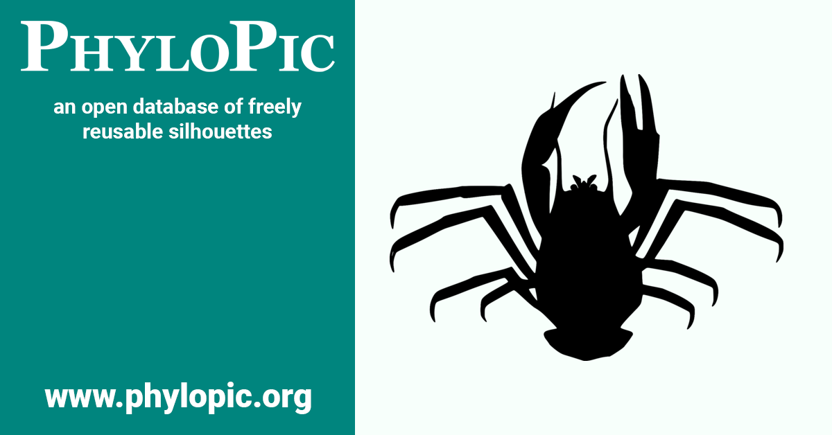 Eocarcinus praecursor by Joanna Wolfe (CC0 1.0) - PhyloPic