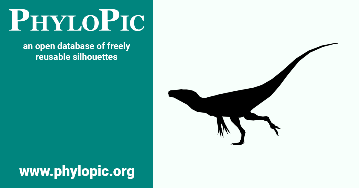 Herrerasaurus ischigualastensis by Tasman Dixon (CC0 1.0) - PhyloPic