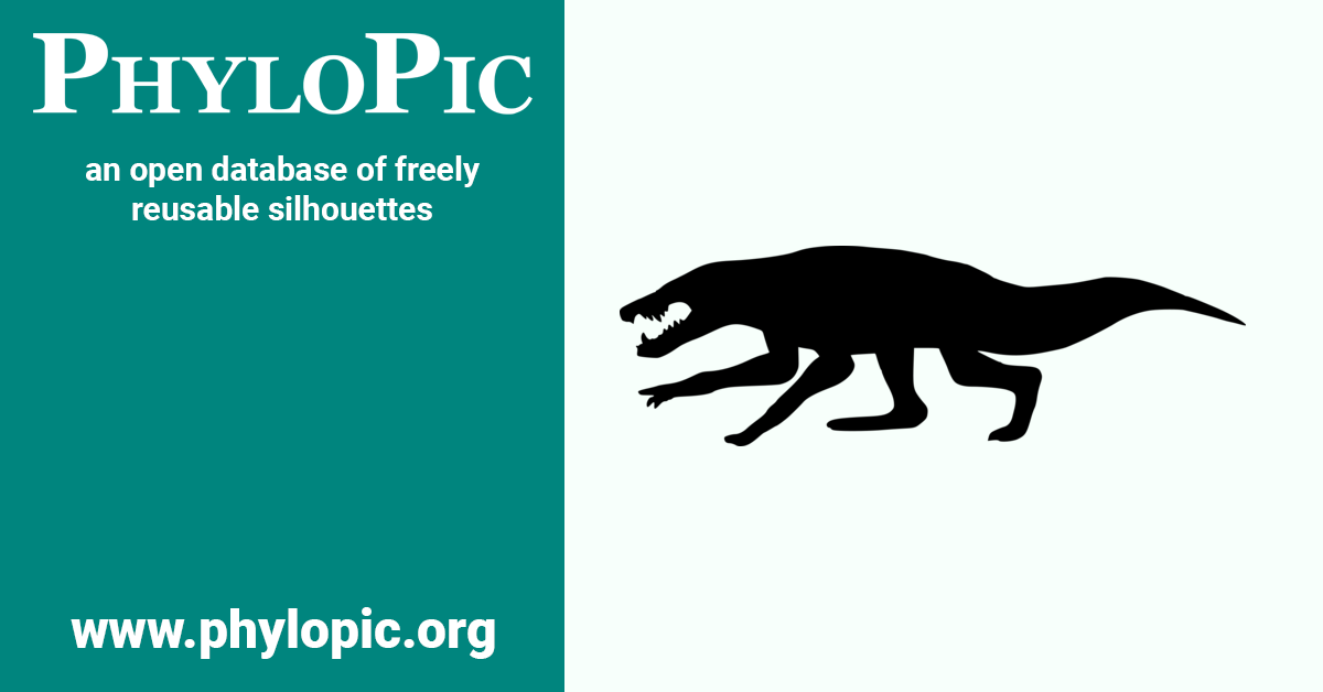 Stratiotosuchus maxhechti by Caio Bernardes, vectorized by Zimices (CC ...
