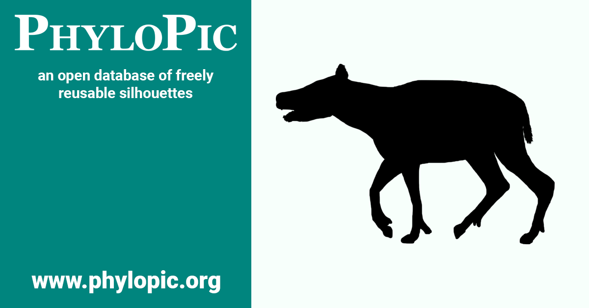 Neodolodus columbianus by Zimices (Julián Bayona) (CC BY 4.0) - PhyloPic